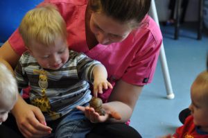 The Role Of The Key Person - Early Years Careers