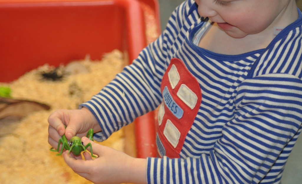 Mini Beast Small World Play - Early Years Careers