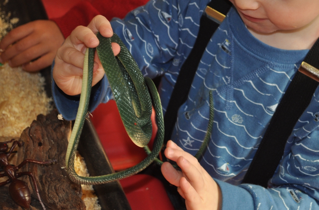 10 Fun Activities To Develop Exploration And Investigation Skills