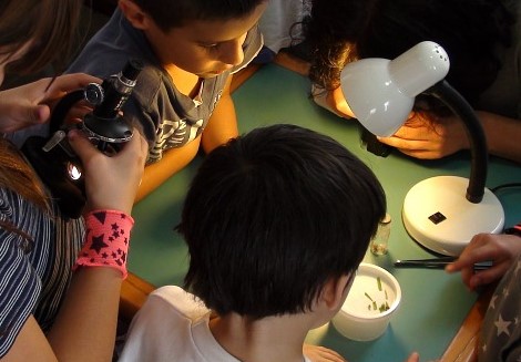 Investigation Station Ideas - Early Years Careers